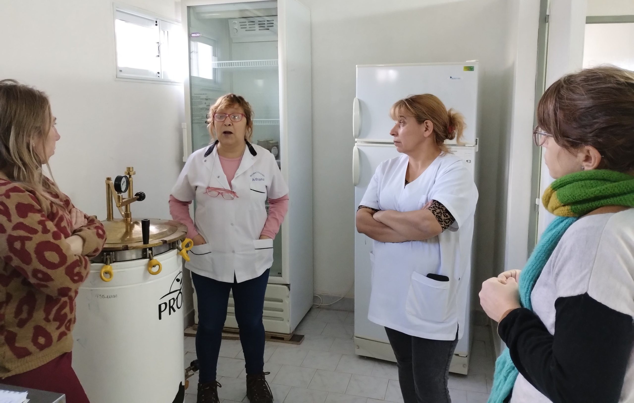 La Sala de Elaboración Municipal de Chos Malal, orientada en la ...
